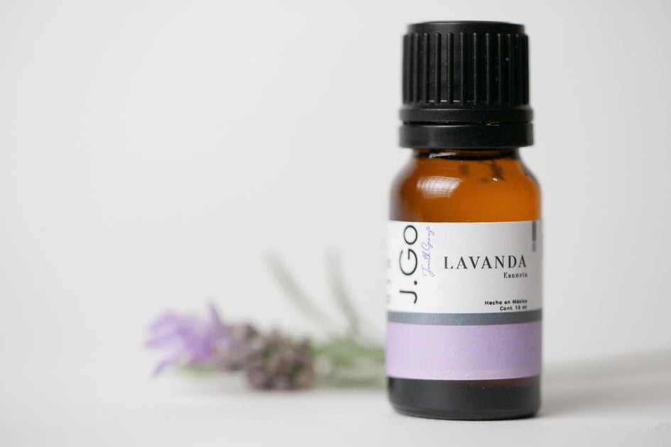 Productos – Gazó Studio